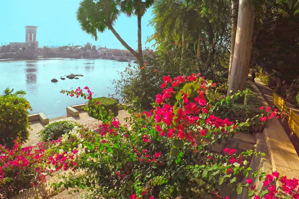 Asszuáni Botanikus Kert | | Nílus Travel Magazin